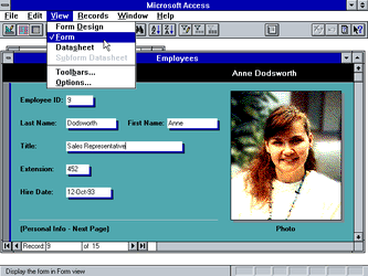Microsoft Access 2.0 - Stats, Downloads and Screenshots :: WinWorld